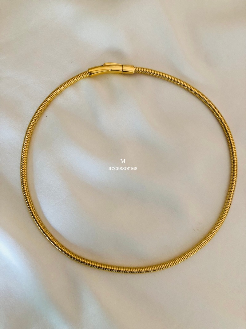 Wire Coil Snake Bone Chain - M Accessories